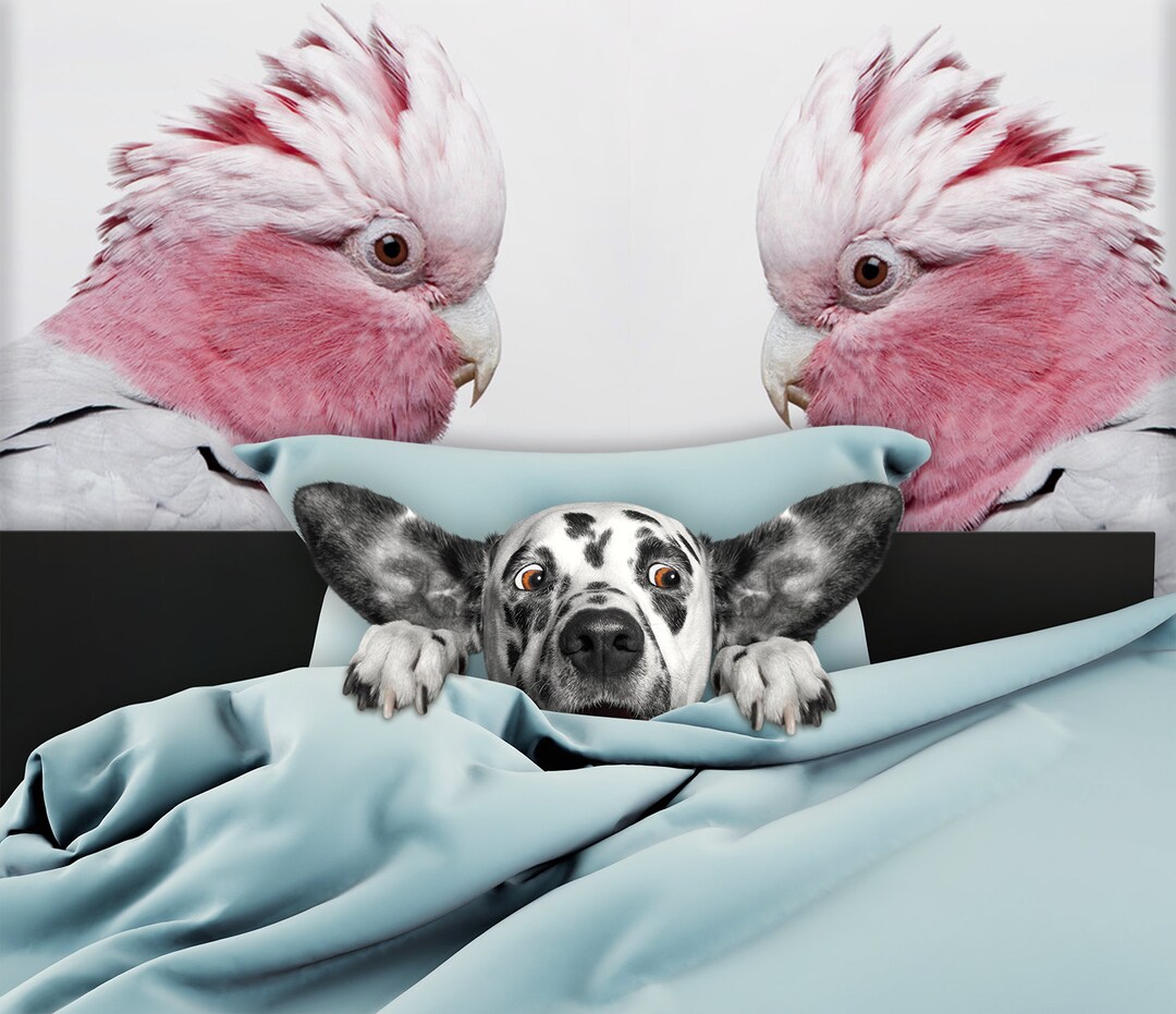 Beautiful Parrot Wallpaper,home Decor, Wall Art,peel and Stick-wall ...