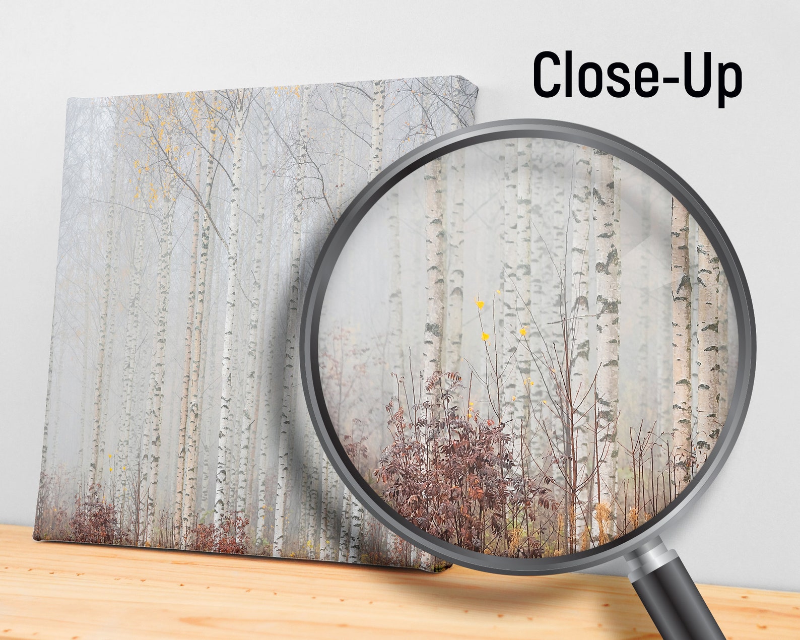 Birch Tree Forest Canvas Print, Botanical Print, Modern Wall Decor, FOR ...