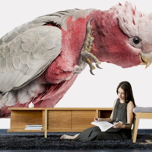 Parrot Wallpaper,home Decor,wall Art,peel and Stick-wall Decor-self ...