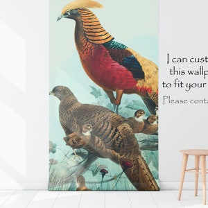 Colorful Bird Wallpaper, Wall Art Wallpaper Peel and Stick self ...