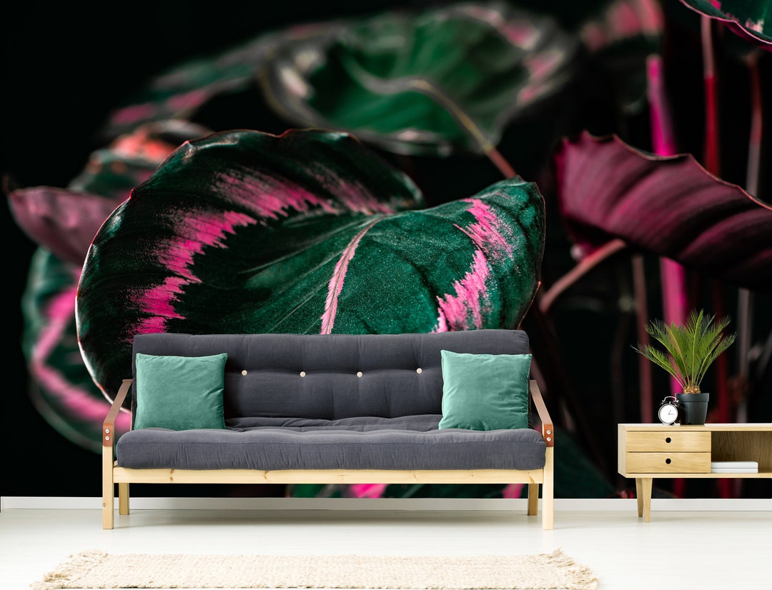 Calathea Plant Wallpaper, Green and Pink Leaves, Peel and Stick Wall ...