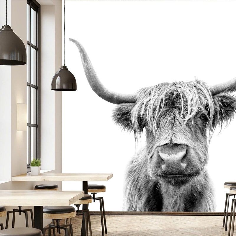 Highland Cow Wallpaper - Etsy