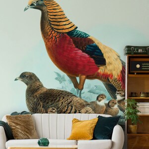 Colorful Bird Wallpaper, Wall Art Wallpaper Peel and Stick self ...