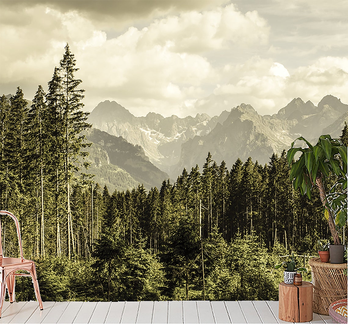 Conifer Forest Wallpaper and Mountains in the Background Self - Etsy