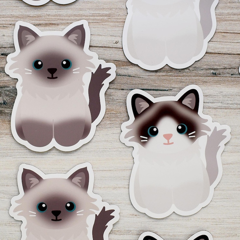 Ragdoll Cartoon - Etsy