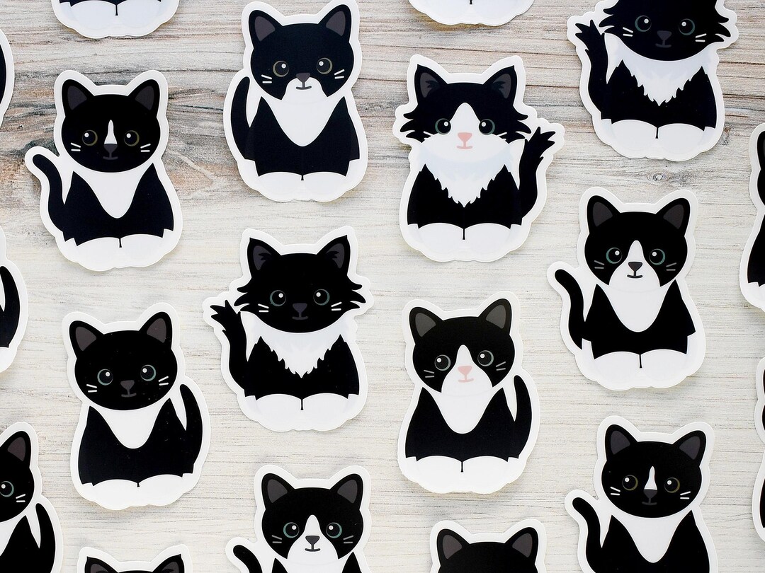 Black Tuxedo Cat With White Blaze Vinyl Sticker for Water Bottle and ...