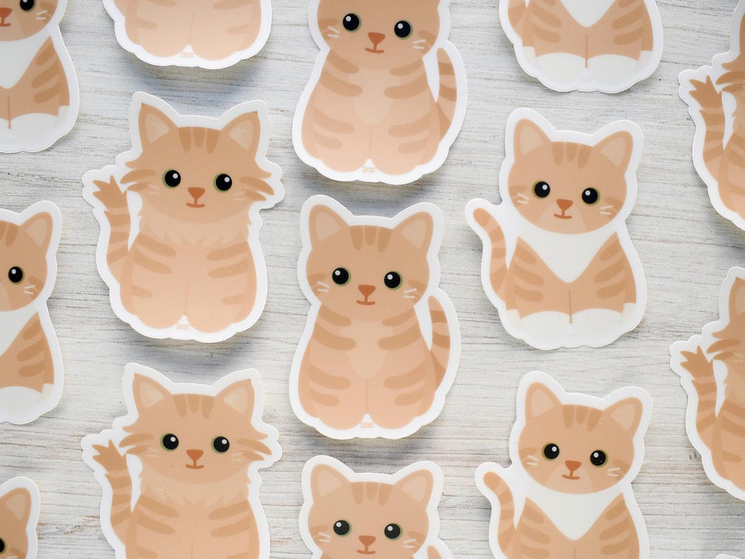 Buff Orange Tabby Cat Vinyl Sticker for Water Bottle and Laptop, Cute ...