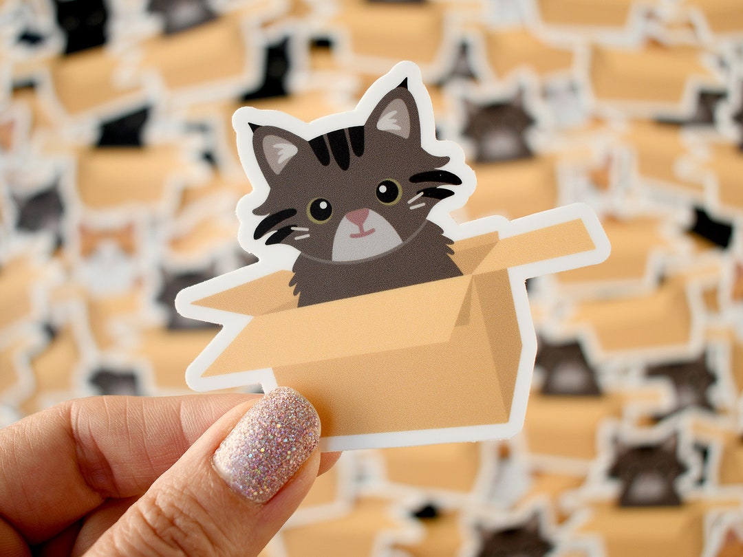 Tabby Cat Sticker, Cats in a Box Cat Sticker, Cat in Cardboard Box ...
