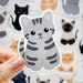 Tabico Calico Tabby Cat Vinyl Sticker for Water Bottle and Laptop, Cute ...