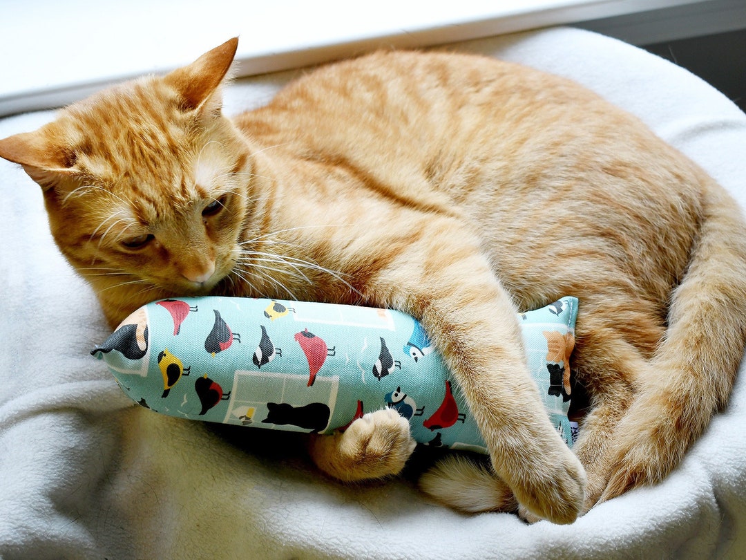 Birds Cat Kick Toy, Fabric Cat Toy, Catnip Pillow, New Cat Gift, Cat ...