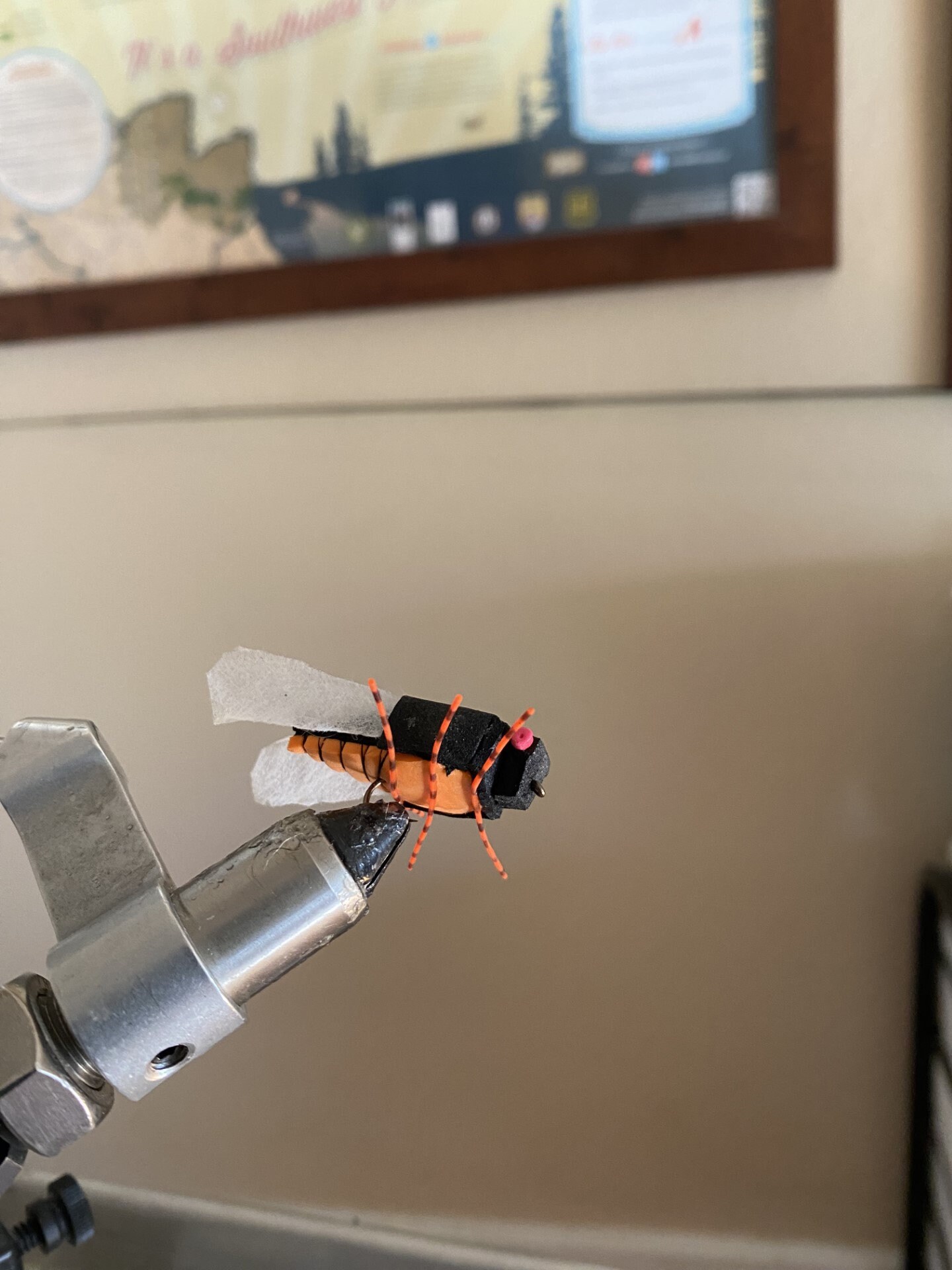 Cicada Fly Pattern Brood XIX & Brood XIII Size 6 ( Baker's Dozen ...