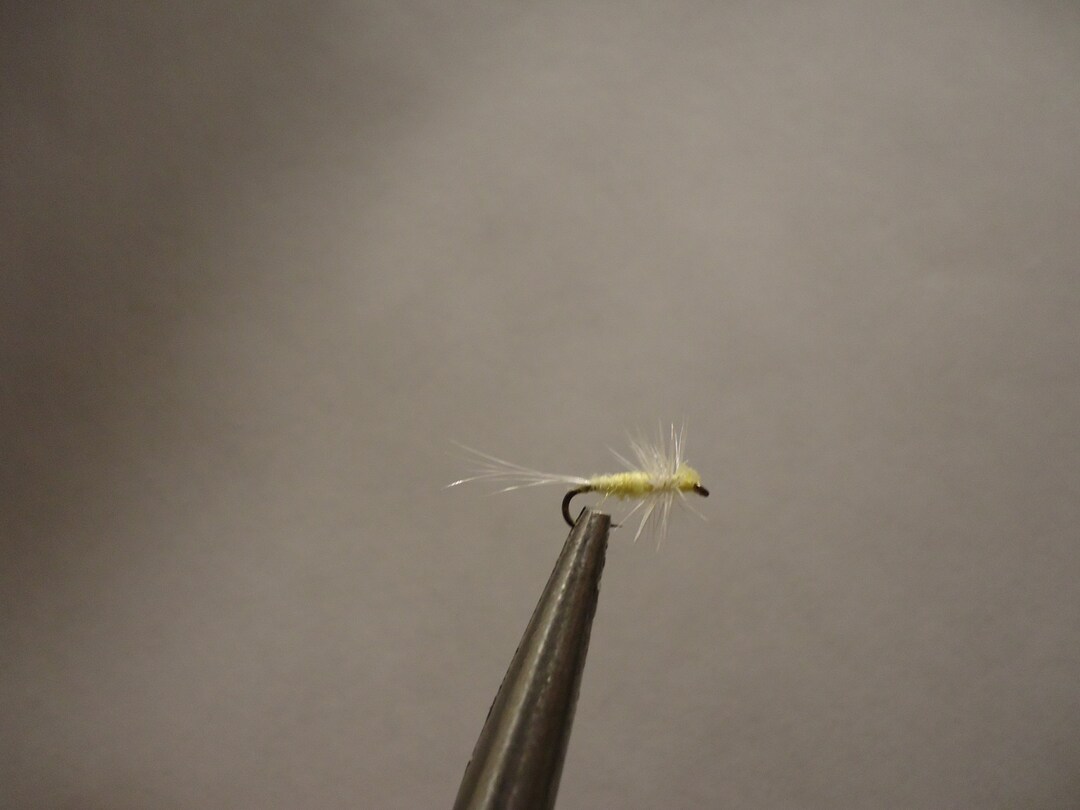 PMD ( Pale Morning Dun) Dry Fly Size 18 - Etsy