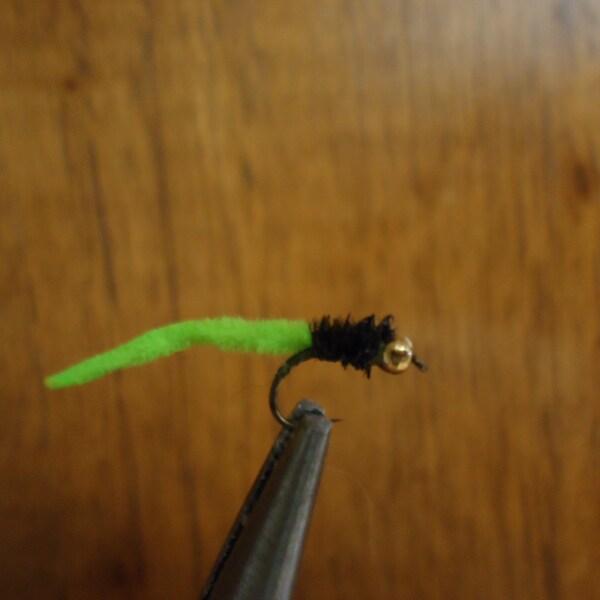 The Rock Worm - Etsy