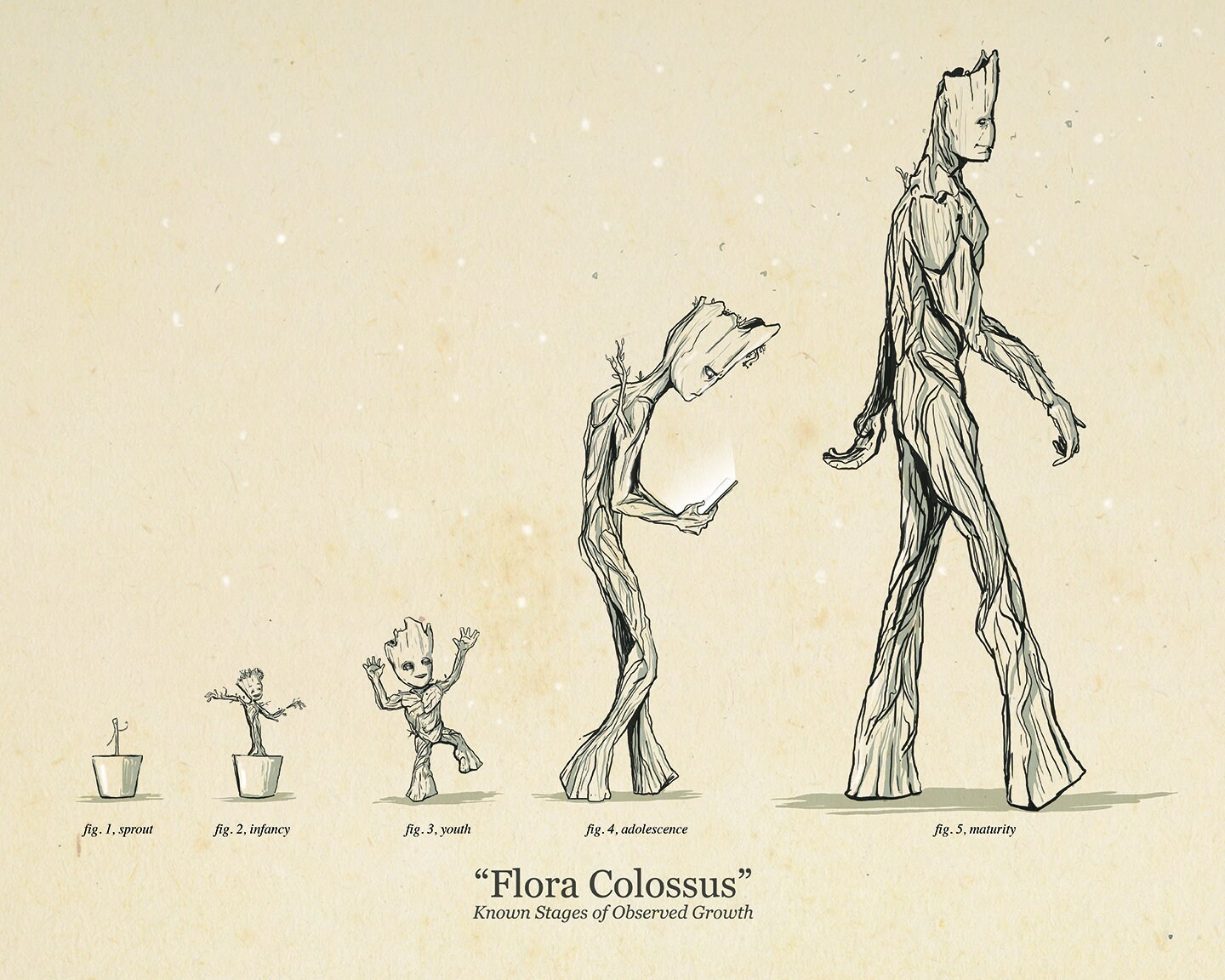 Evolution of Groot Guardians of the Galaxy Print | Etsy
