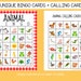 7 Animal Bingo Cards| Bingo for the Classroom| Educational Bingo Game ...