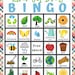 Earth Day Bingo Cards, Bingo Game at Home, Fun Activity for Kids, Bingo ...