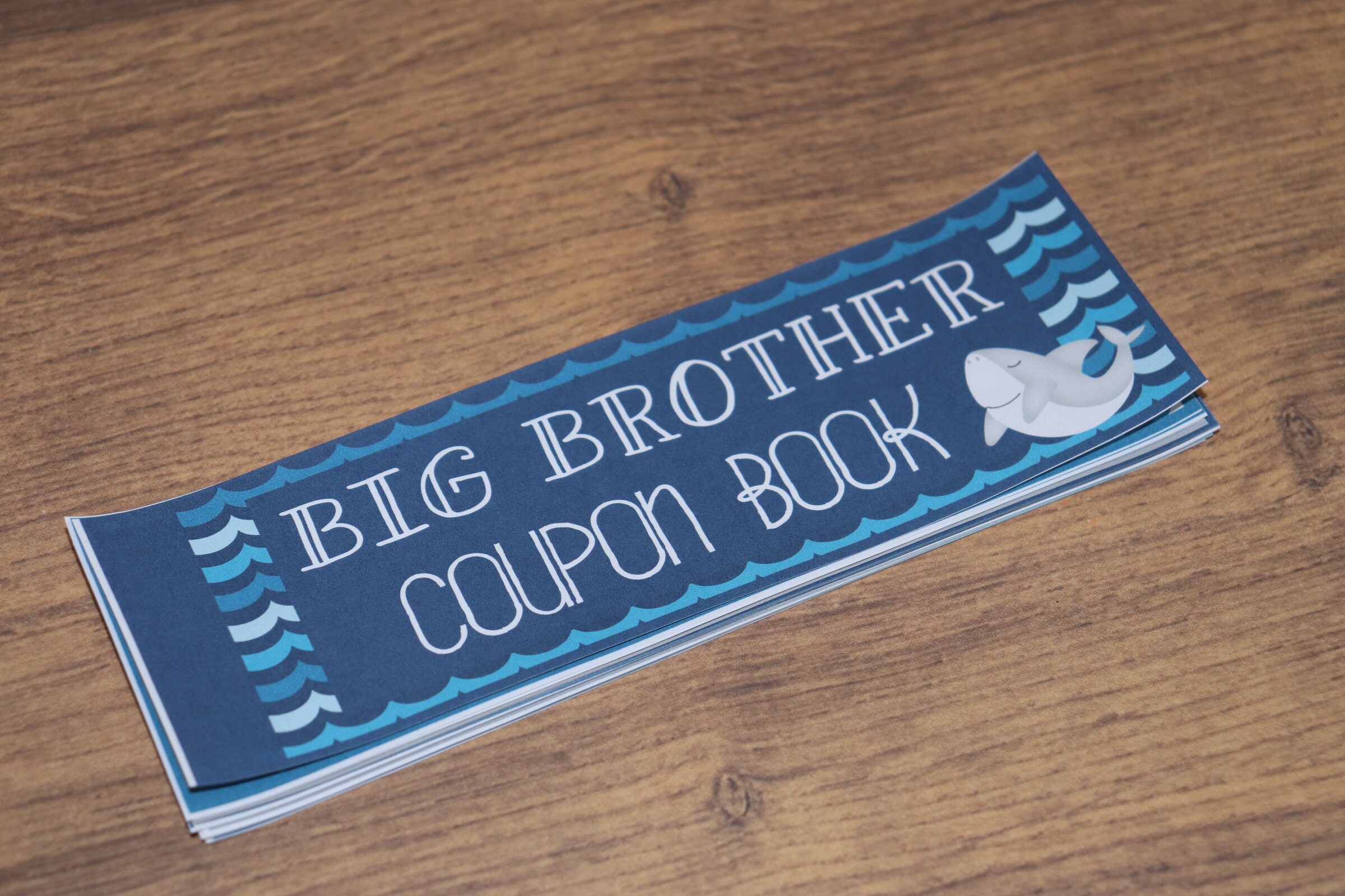 Big Brother Coupon Book - Etsy