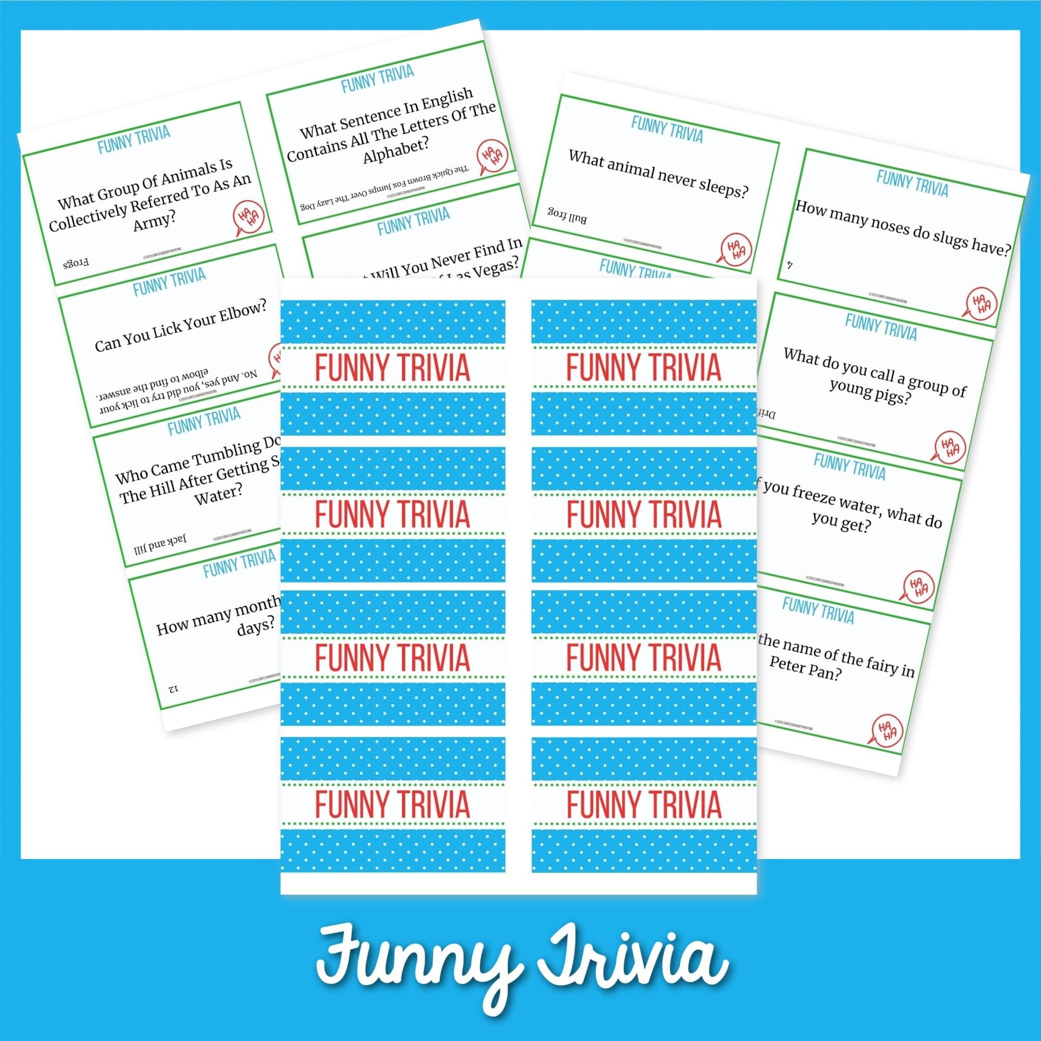 Fun Trivia Questions