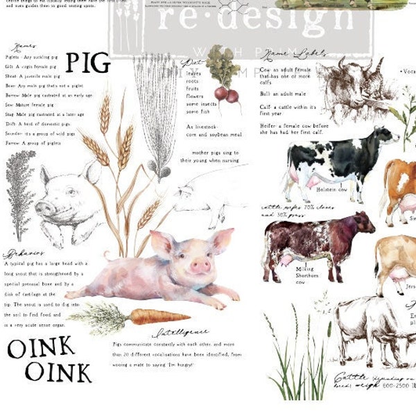 Chicken Transfer - Etsy