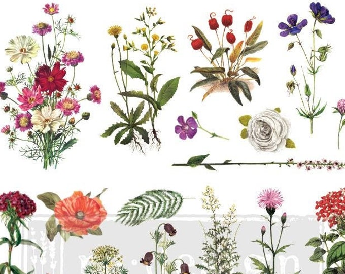 Life in Full Bloom Redesign Image Transfer Furniture Decor Transfer ...