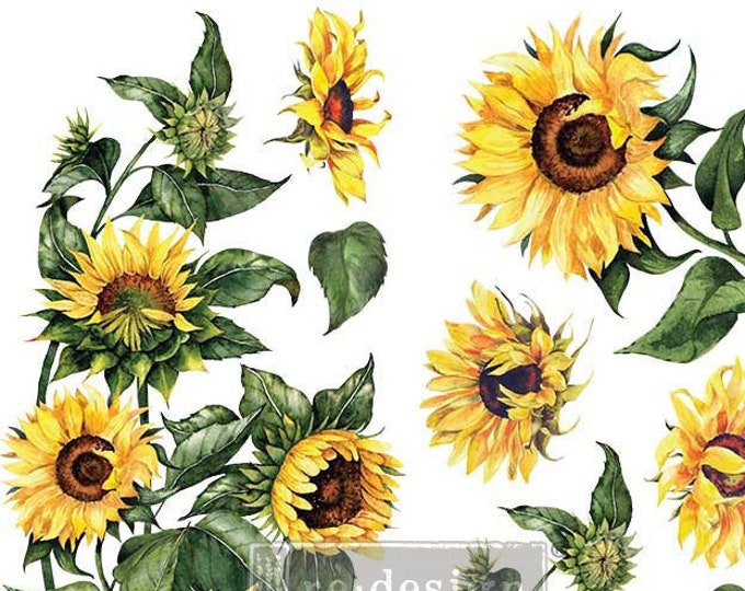 Sunflower - Redesign Furniture Decor Transfer - Rub on Image Transfer ...