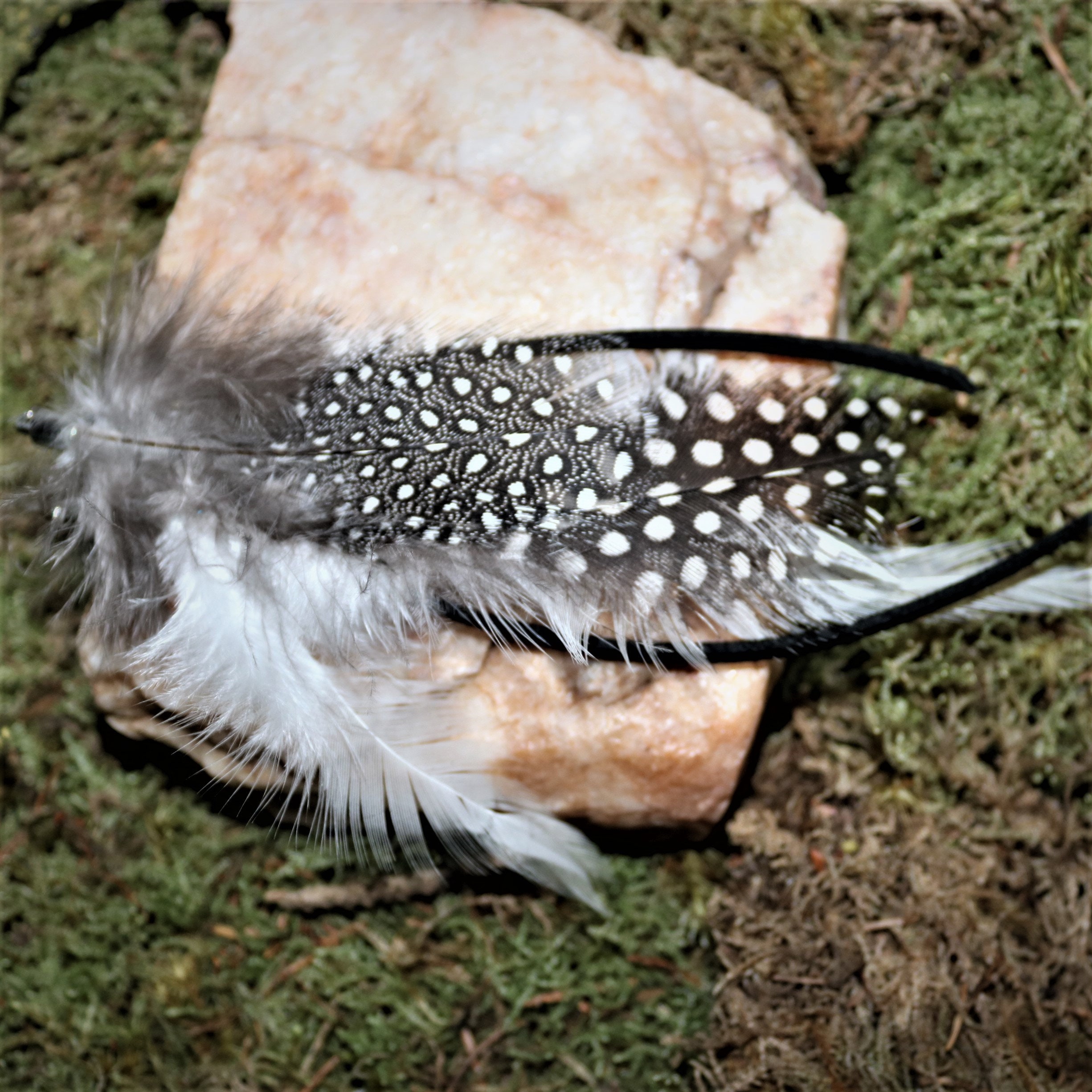 Natural Speckled Feather Earrings