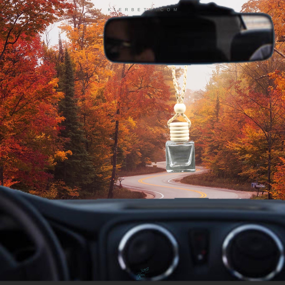 Hanging Ribbed Glass Car Diffuser, Essential Oil Air Freshener, 30ml ...