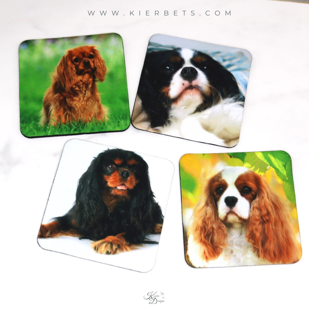 Cavalier King Charles Neoprene Round or Square Coaster Set of 4, Blenheim Ruby Black and Tan Tri ...