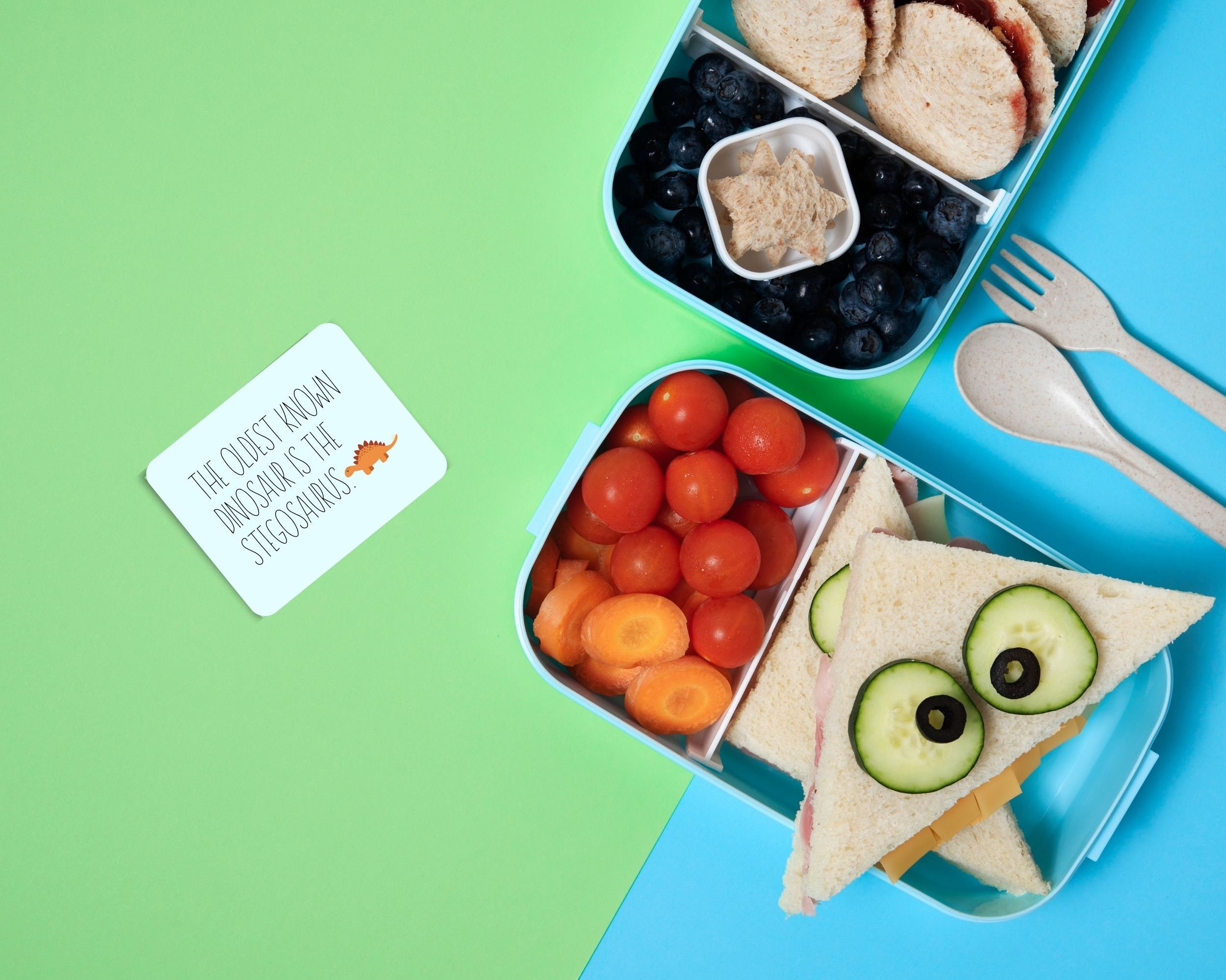 Fun Facts for Kids' Lunch Box Notes PRINTABLE DIGITAL DOWNLOAD ...