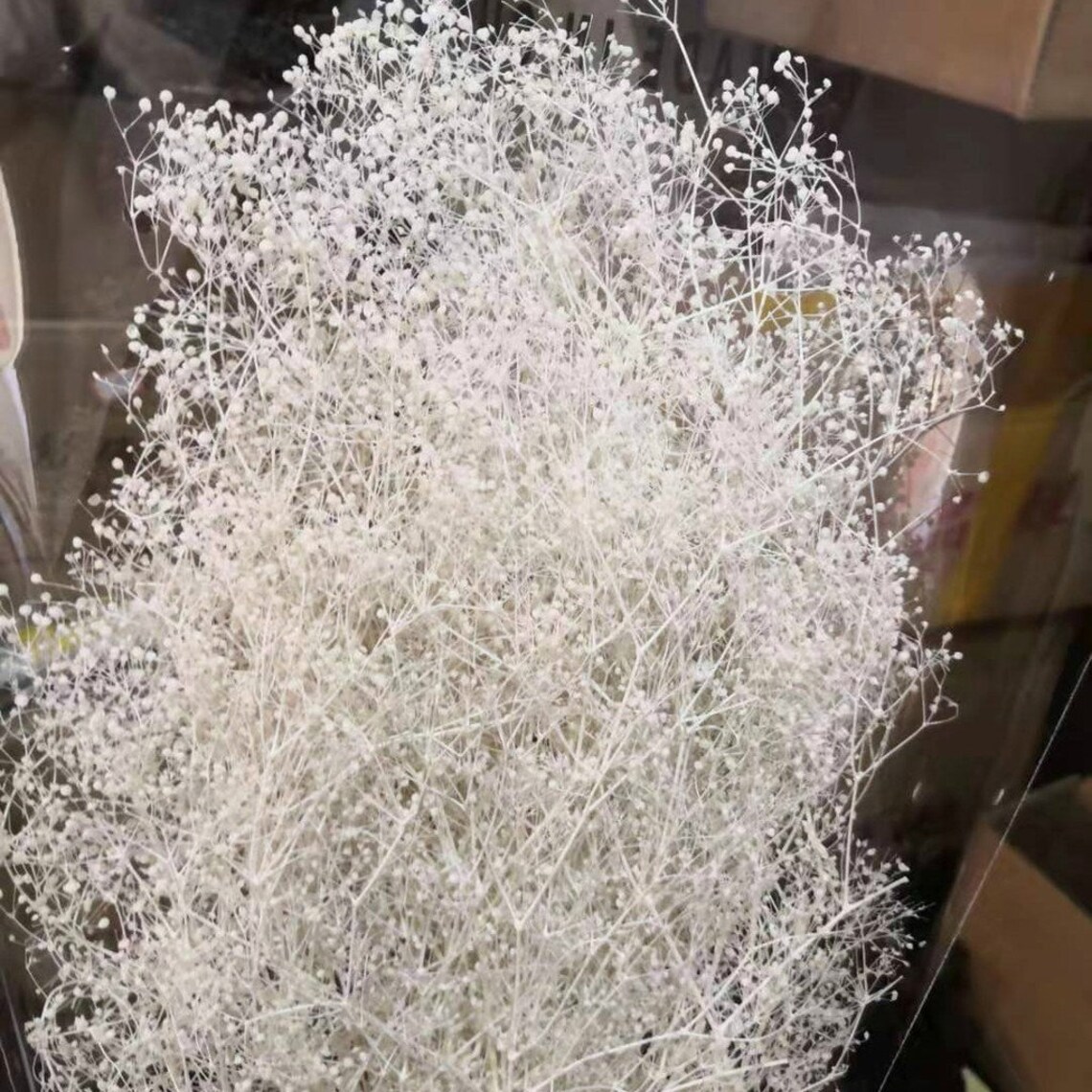 Preserved Baby Breath Gypsophile 100g Bunch White Bouquet - Etsy
