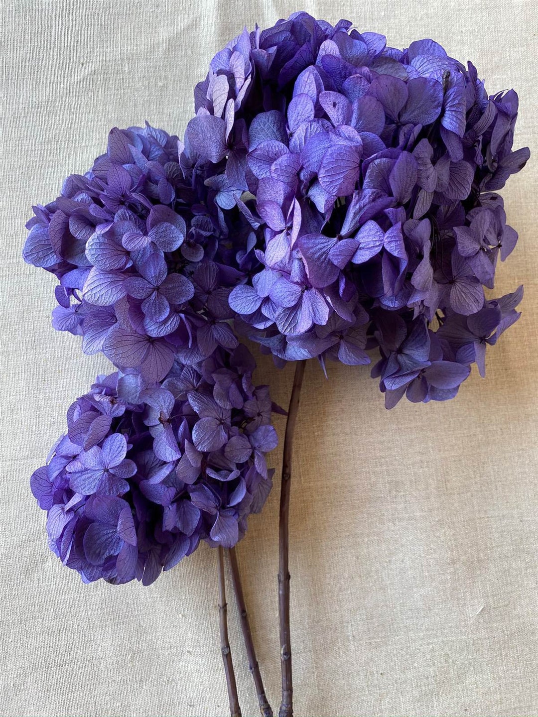 Big Petal Preserved Hydrangea Lavender Color, Resin/jewelry DIY, Home ...
