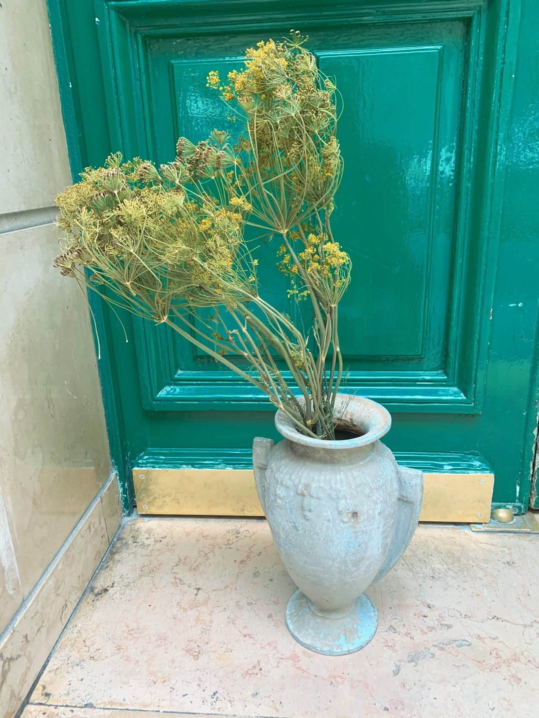 Dill bouquet dried flower dried aromatic herb bunch 80g | Etsy