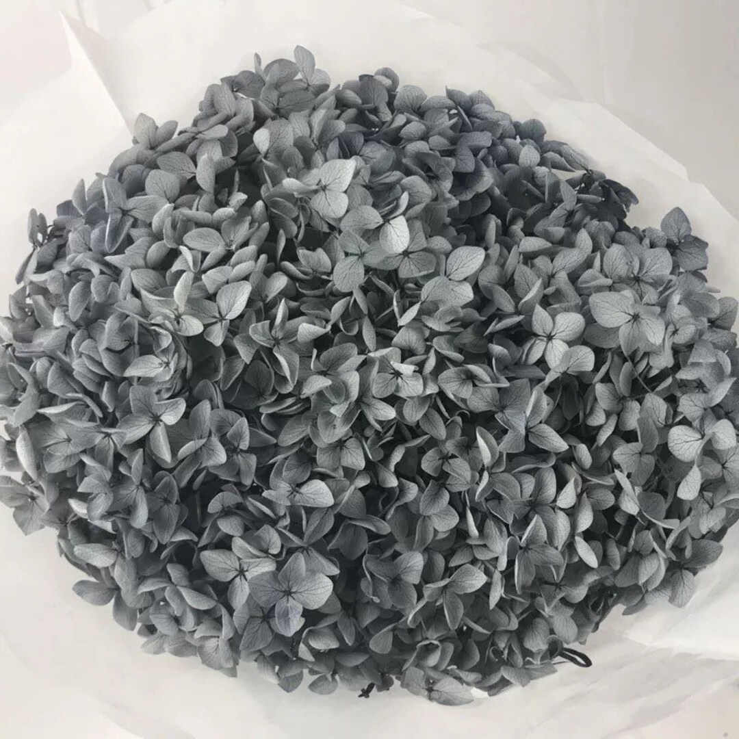 Preserved Hydrangea Gray Gradient D20cm - Etsy