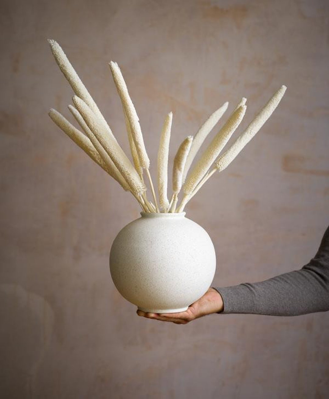 X8 Stem Bunch Dried Babala White Bouquet - Etsy