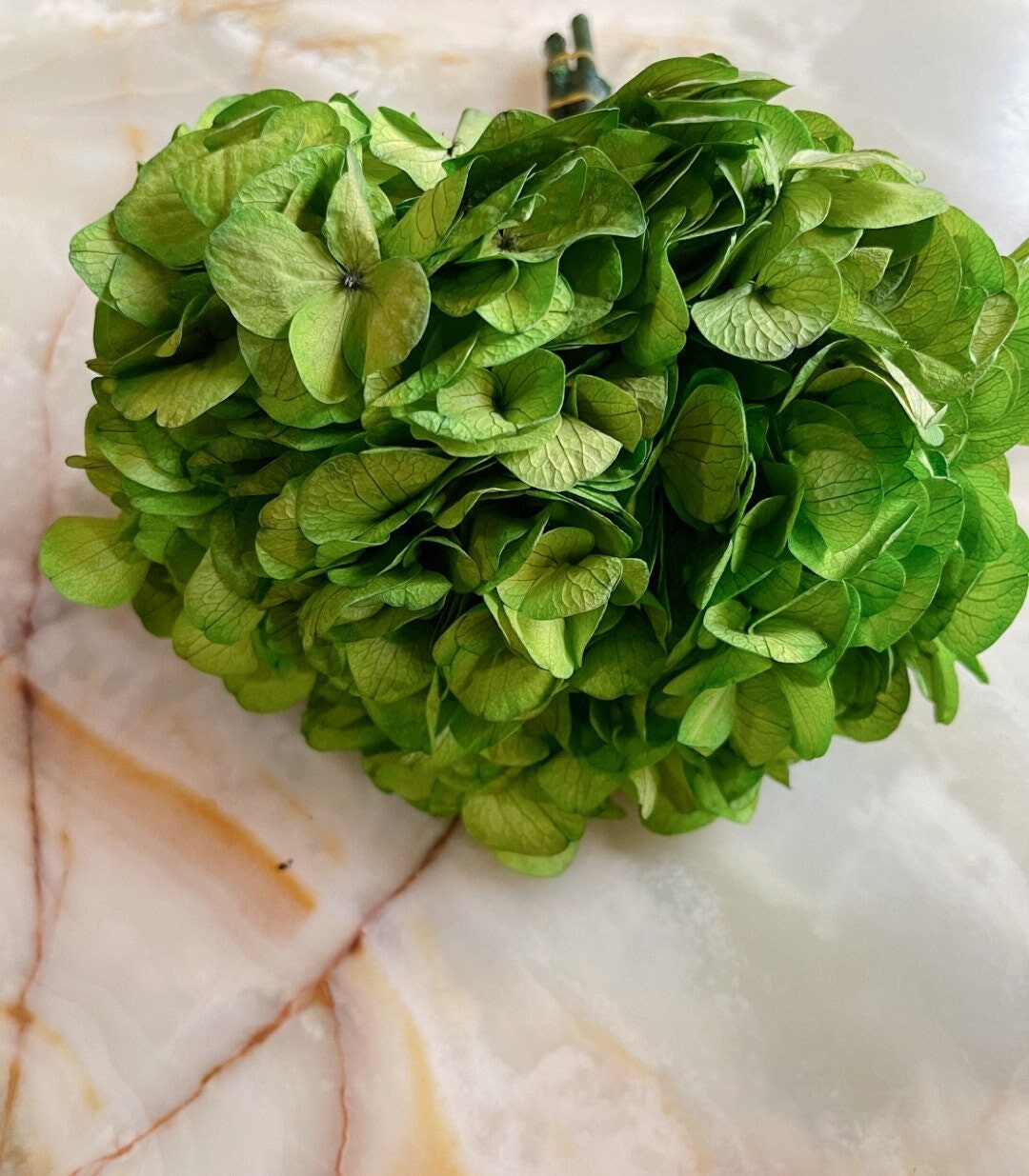 Big Petal Preserved Hydrangea Green, Diy Resin, Jewelry, Home ...