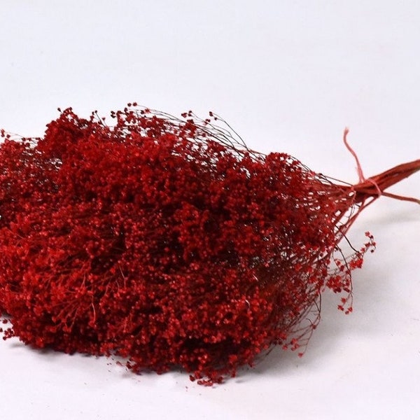 Red Babys Breath - Etsy