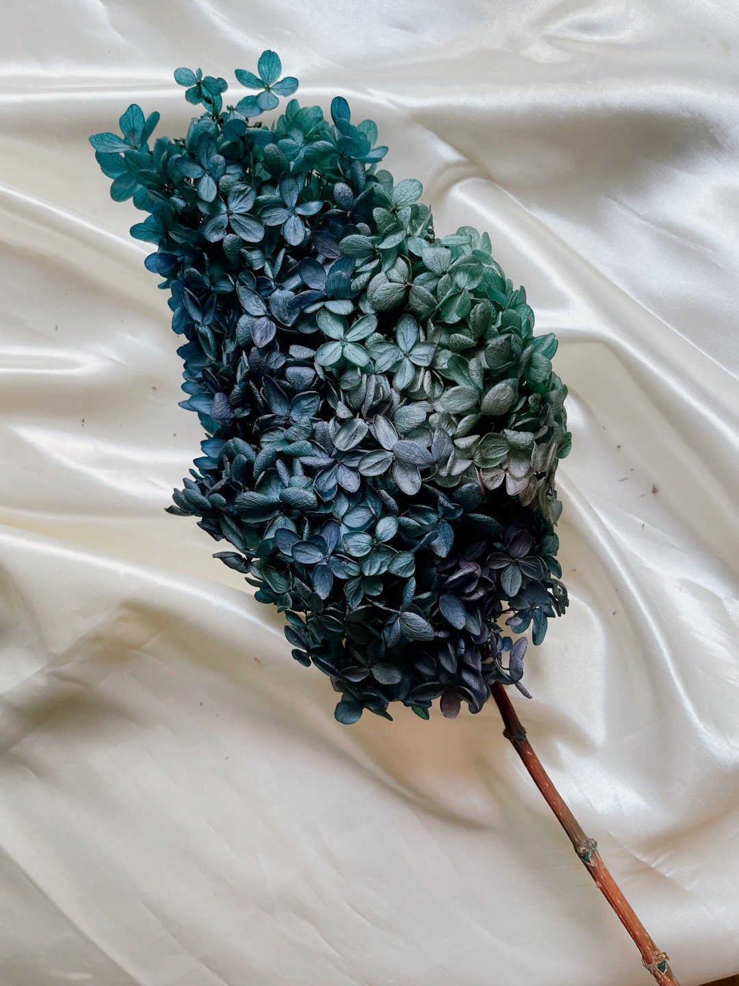 Preserved Hydrangeas Paniculata Duck Green 50cm Jewelry Tool, Resin DIY ...