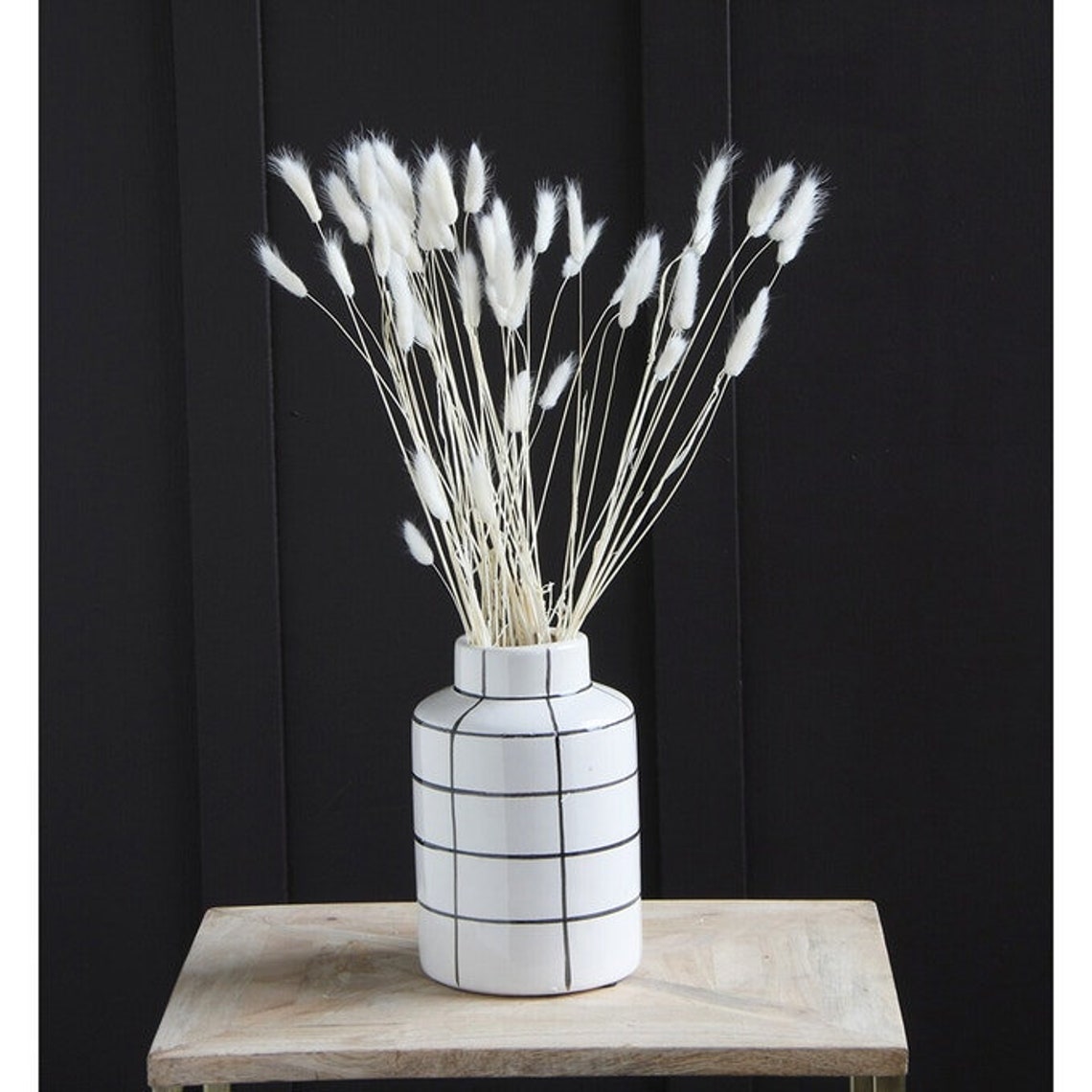 Snowy Lagurus Bleached White Lagurus Extra White Rabbit - Etsy