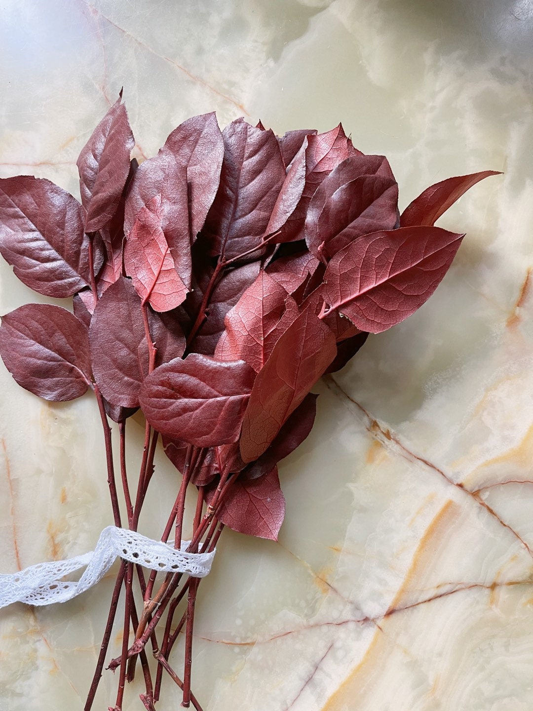Red Salal Preserved, Preserved Leave, Greenery, Wall Decoration - Etsy
