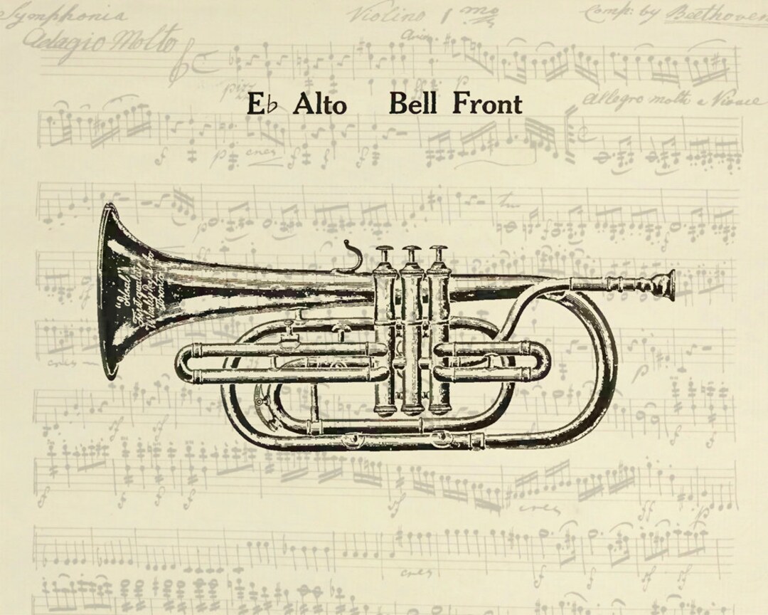 Band Instrument Trumpet (cornet) Drawing. Vintage Musical Instrument ...