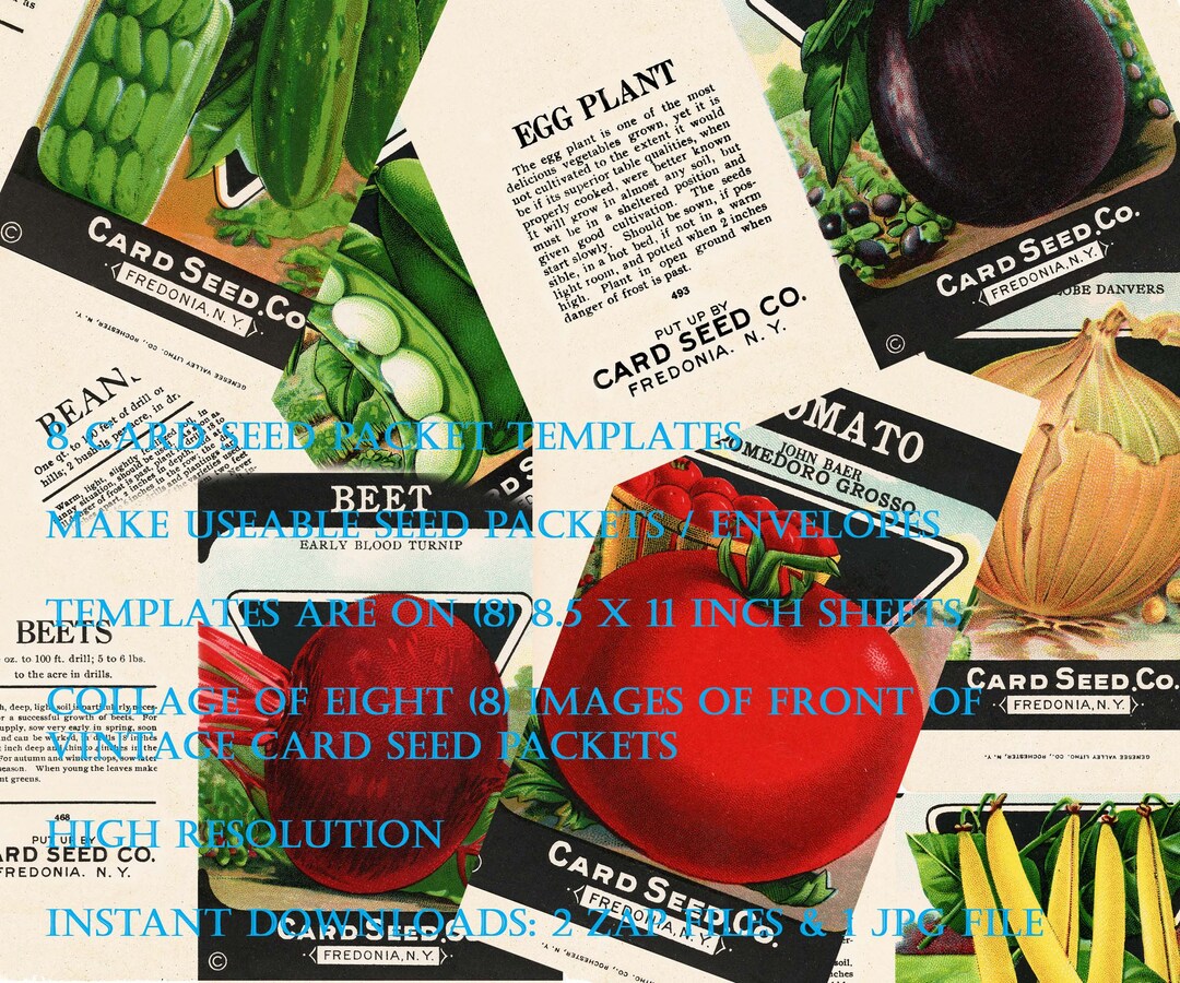 Instant Download Card Seed Packets 8 Templates and Collage Front and ...