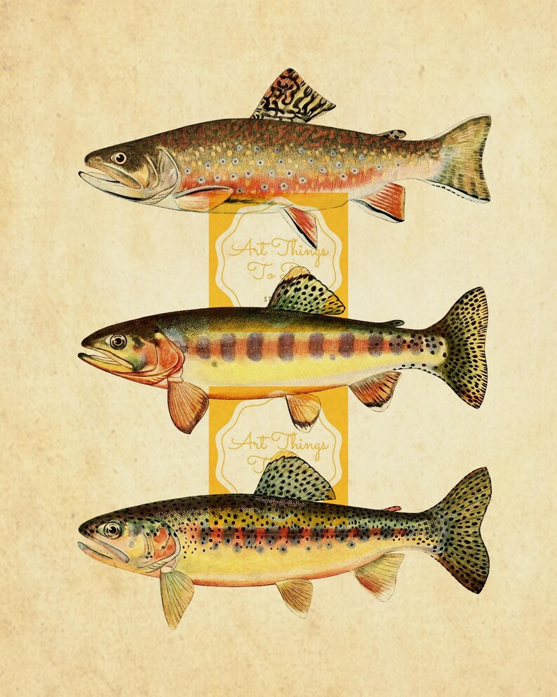 Trout Fish Art, Trout Wall Art, Trout Print, Digital Prints, Home Decor ...