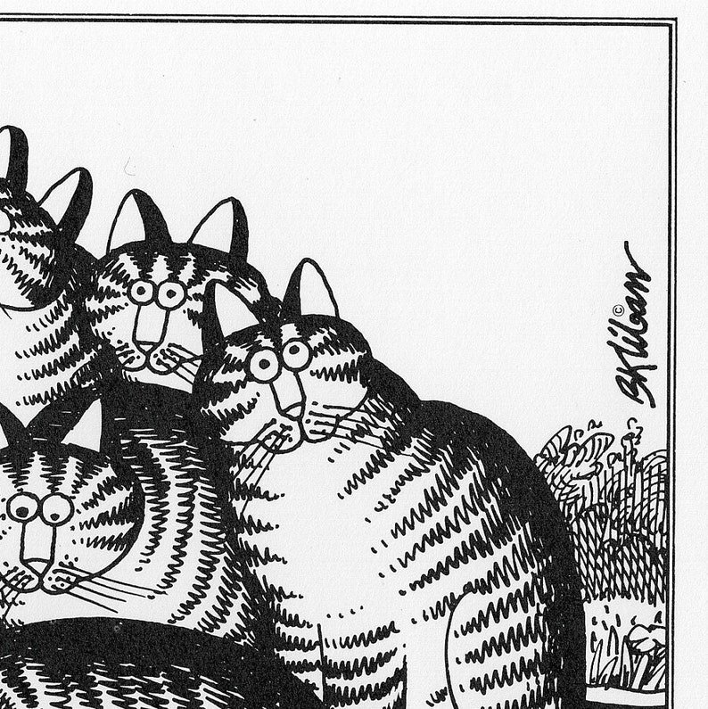 B. Kliban Cats Vintage Print Art, Cat Photographer Takes Cat Group ...