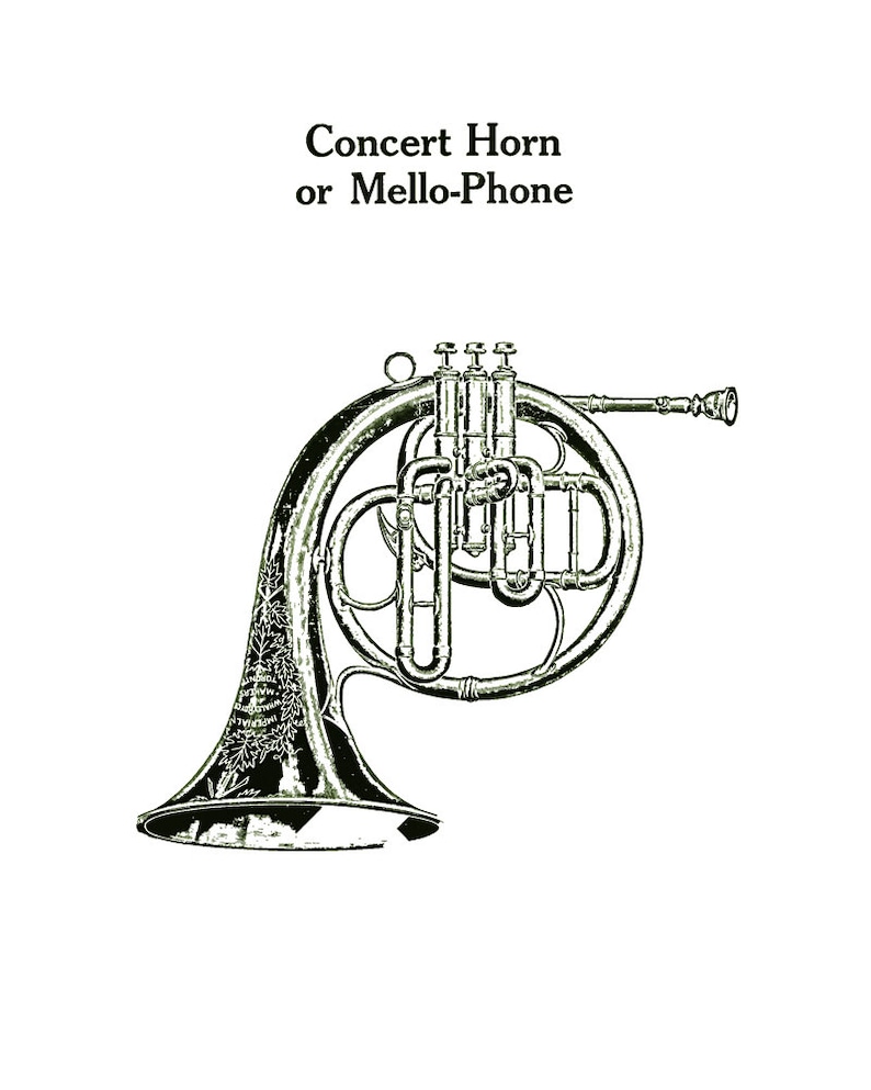 Band Instrument French Horn Drawing. Vintage Musical Instrument Wall ...