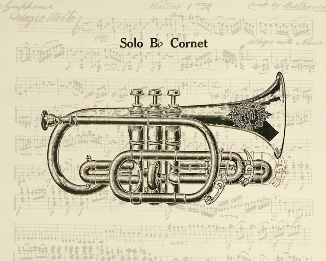 Band Instrument Trumpet (cornet) Drawing. Vintage Musical Instrument ...