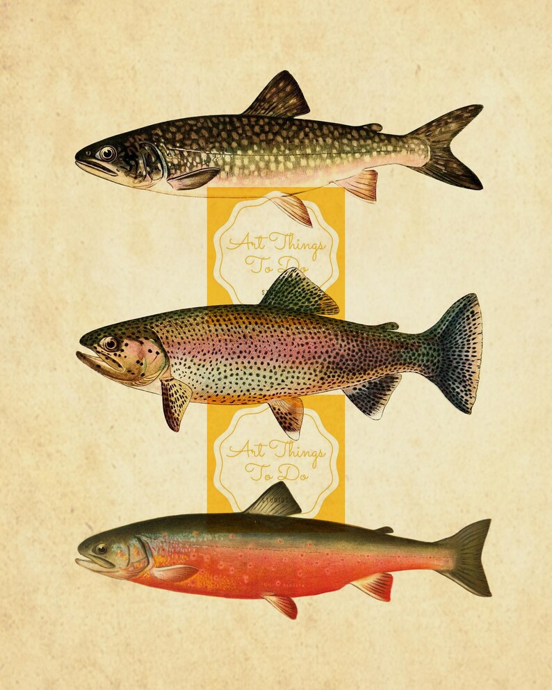 Trout Fish Art, Trout Wall Art, Trout Print, Digital Prints, Home Decor ...
