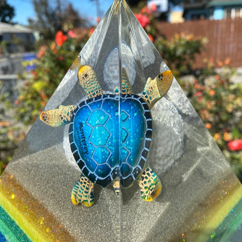 Monterey Turtle Pyramid - Etsy
