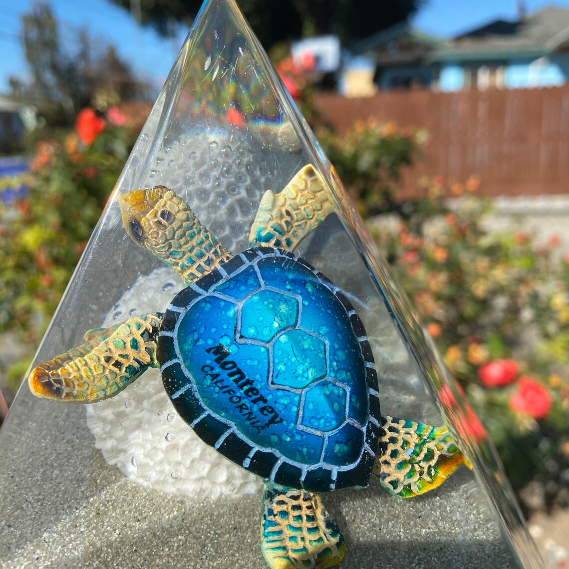 Monterey Turtle Pyramid - Etsy