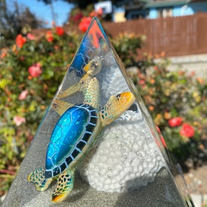 Monterey Turtle Pyramid - Etsy