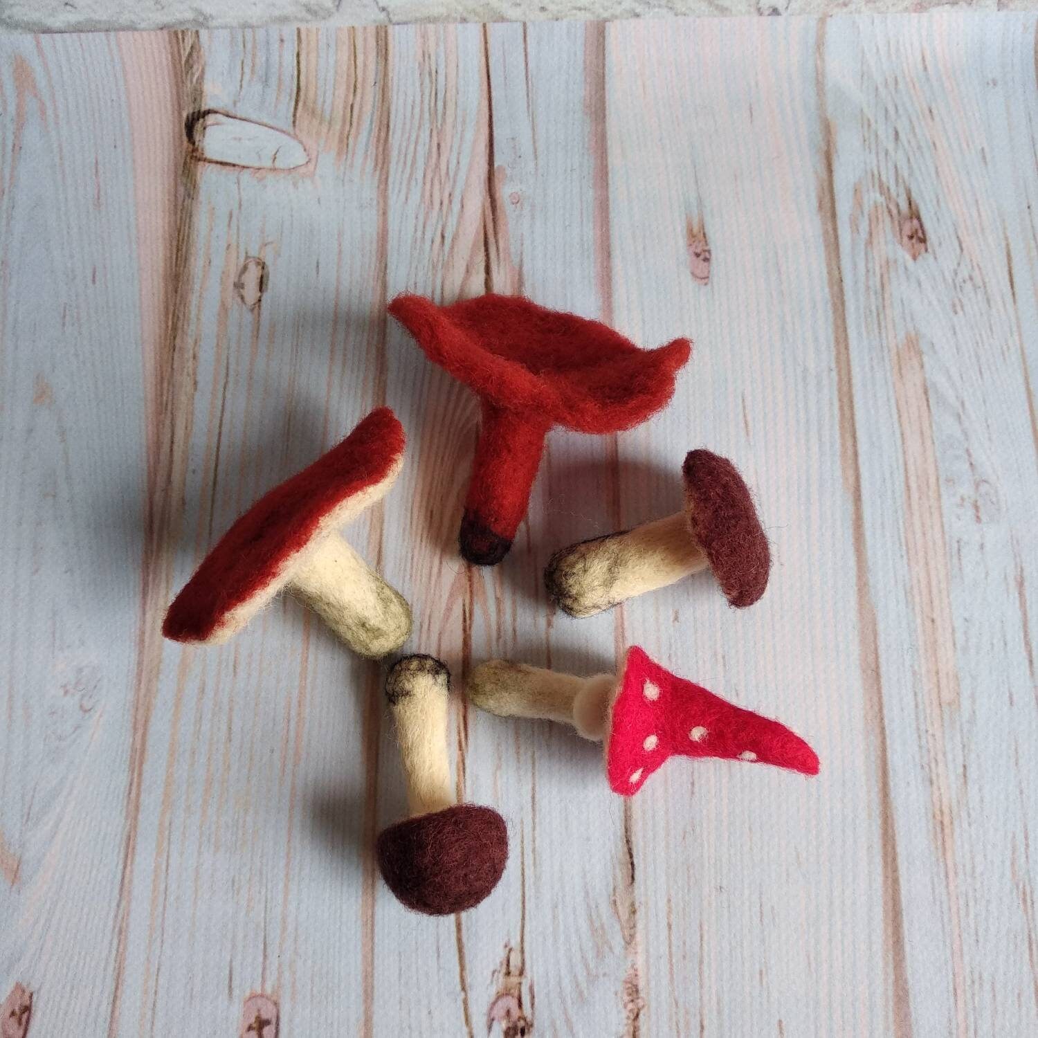 Newborn Felted Toadstool Mushroom Toadstool Prop Felted - Etsy